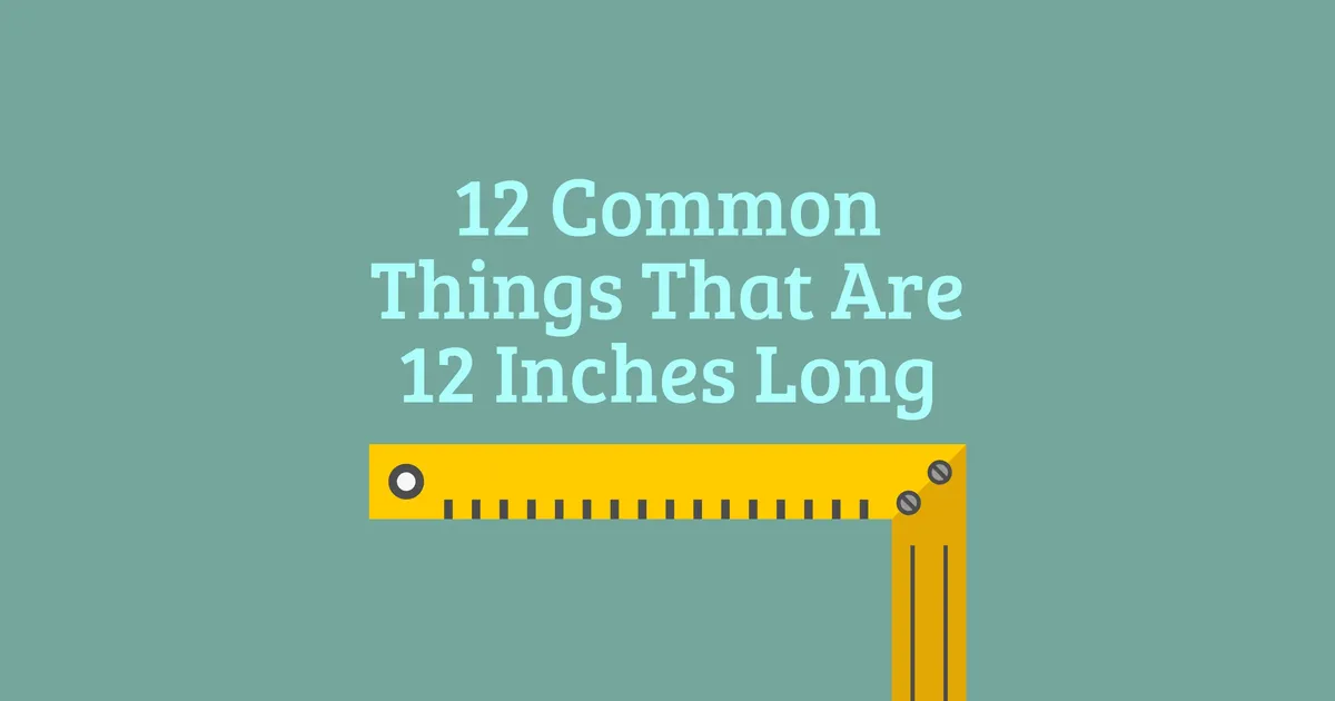 12 Common Things That Are 12 Inches Long