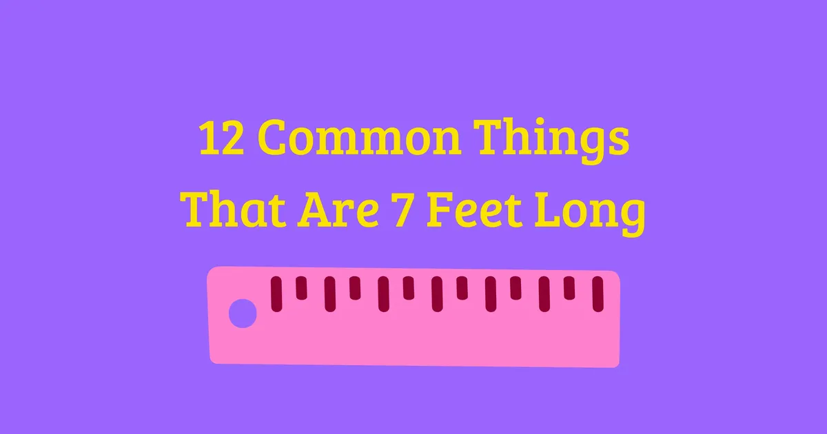 12 Common Things That Are 7 Feet Long