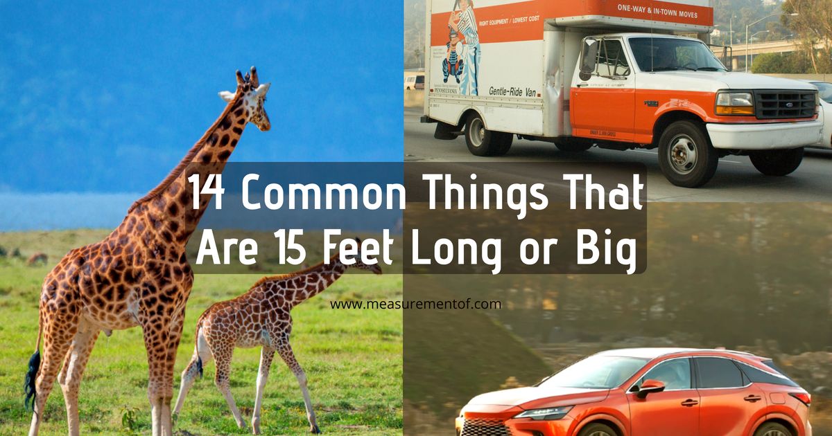 14 Common Things That Are 15 Feet Long Or Big (Visualized)