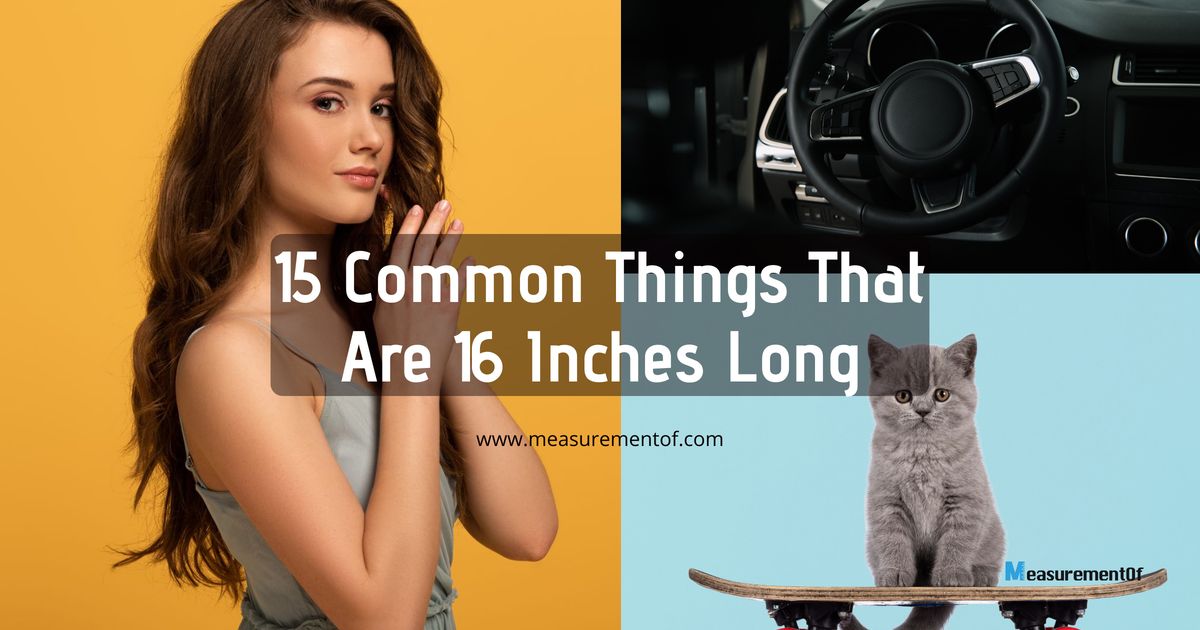 15 Common Things That Are 16 Inches Long