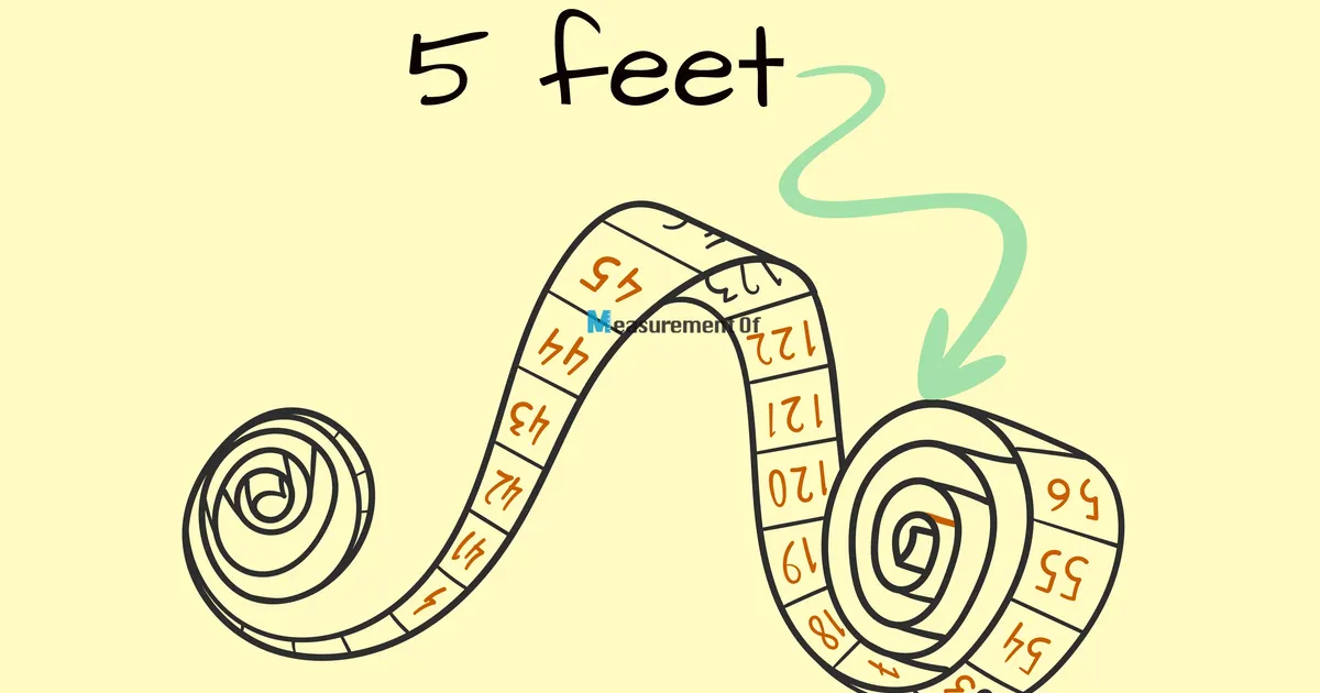 15 Common Things That Are 5 Feet Long