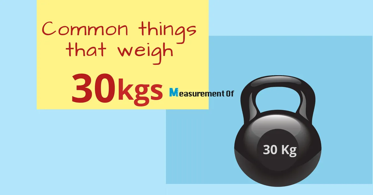 18 Common Things That Weigh 30 Kgs