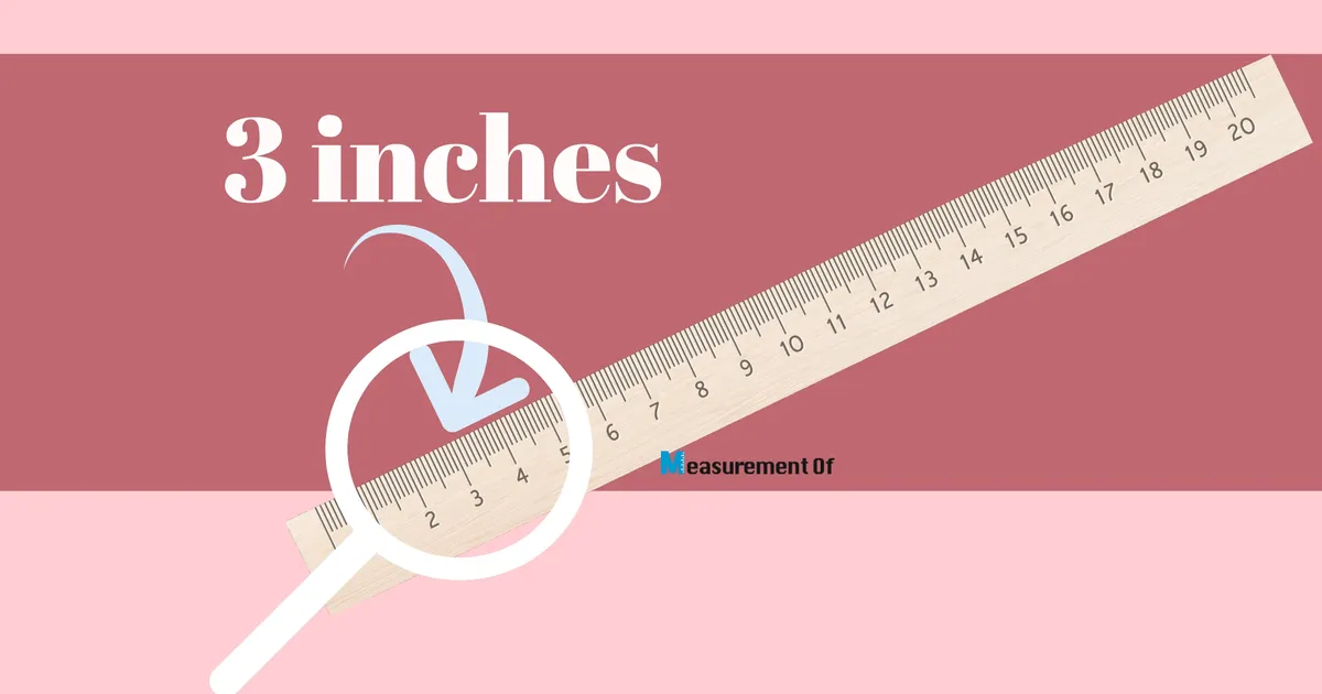 10 Common Things That Are 3 Inches Long