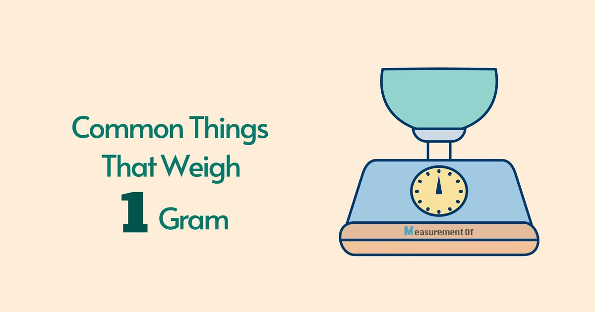 12 Common Things That Weigh 1 Gram