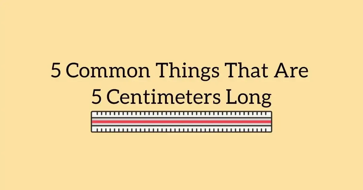 5 Common Things That Are 5 Centimeters Long
