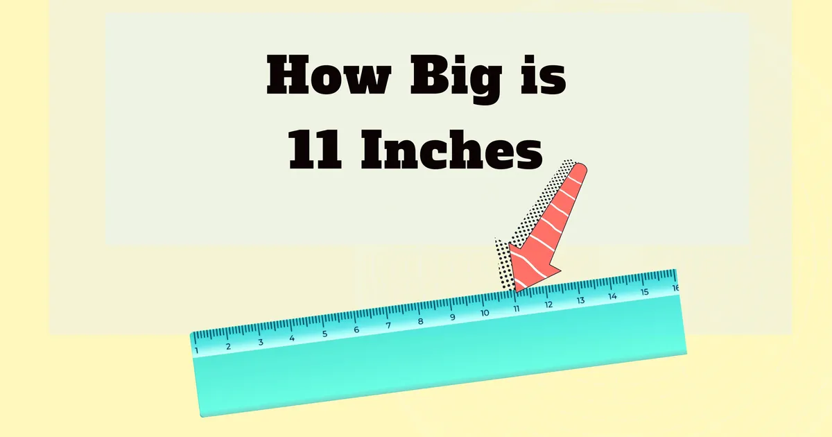 How Big Is 11 Inches?