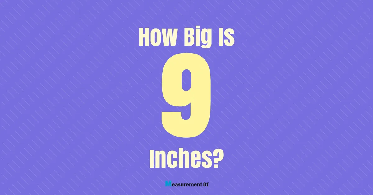 How Big Is 9 Inches?