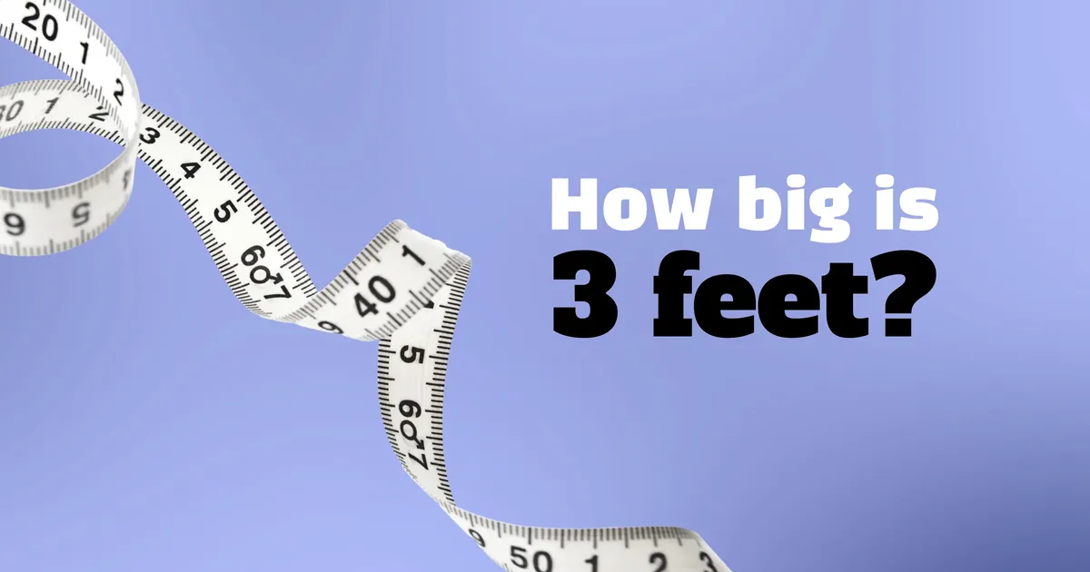 How big is 3 feet - Discover 3 Feet Long Everyday Items