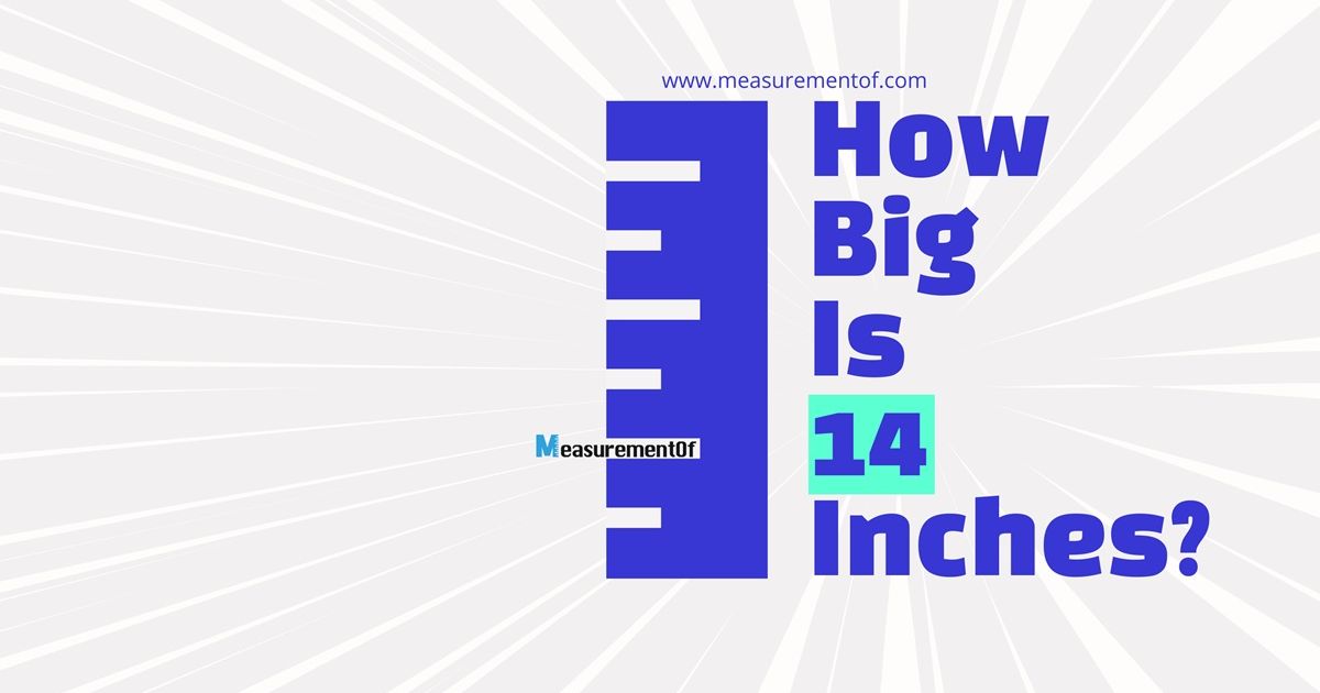How big is 14 inches?