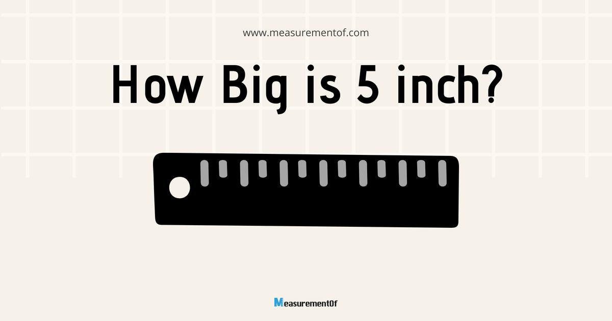 How long is 5 inches? What does 5 inch look like?