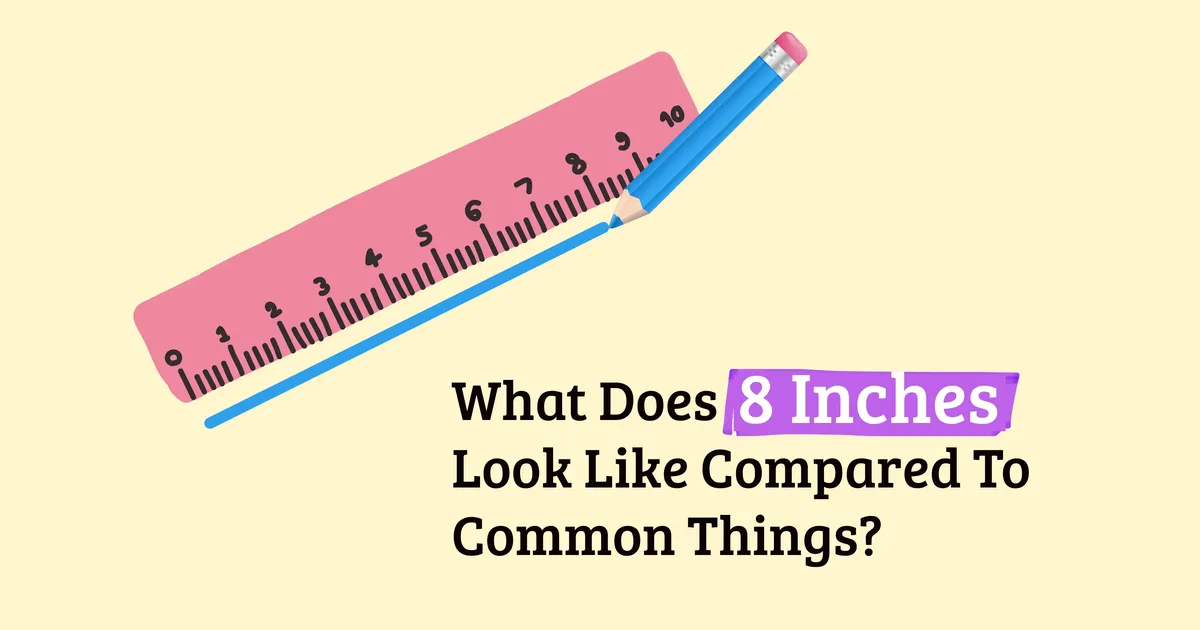 What Does 8 Inches Look Like Compared To Common Things?